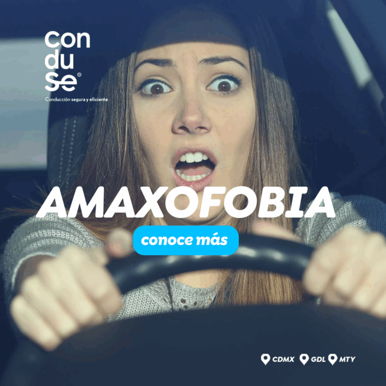 Que es la Amaxofobia | ConduSe